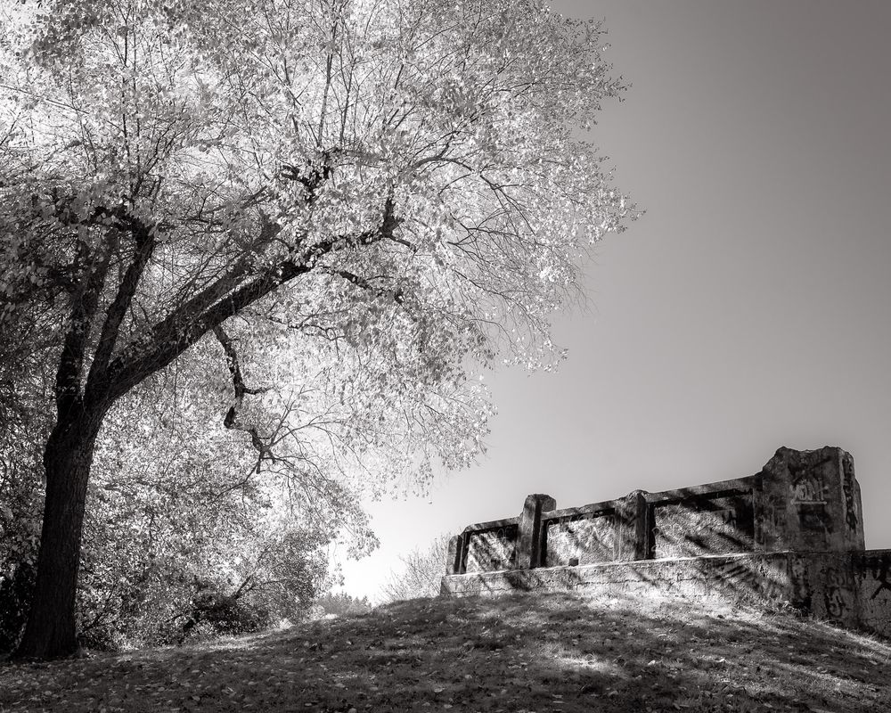 FORT STEILACOOM PARK - 113 Photos & 45 Reviews - Parks - 8714 87th Ave ...