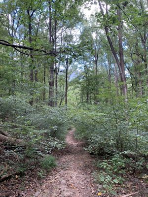 MINT SPRINGS VALLEY PARK - Updated October 2025 - 17 Photos - 6659 Mint ...