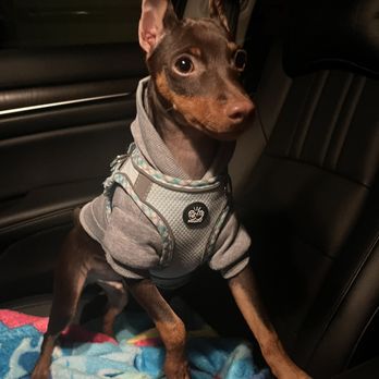 DR. BUTCHKO - Updated July 2025 - 44 Photos & 85 Reviews - 5448 Mission ...