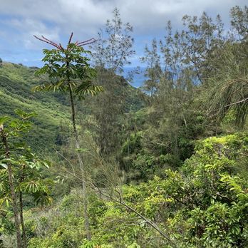 HAU’ULA LOOP TRAIL - Updated December 2025 - 152 Photos & 24 Reviews ...