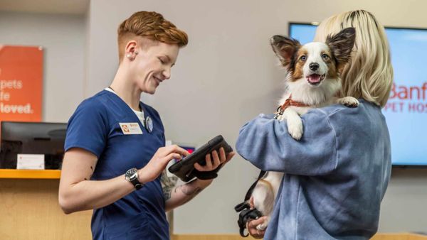 BANFIELD PET HOSPITAL - Updated April 2026 - 41 Photos - 4600 Chippewa ...
