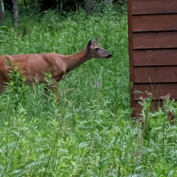 CANOE BAY - Updated October 2025 - 94 Photos & 26 Reviews - W16065 ...