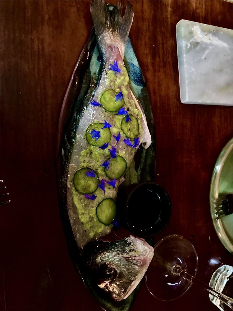 ALMA - Updated March 2025 - 33 Photos & 19 Reviews - 1231 Avenue Lajoie ...