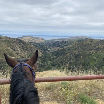 CIRCLE BAR B STABLES - Updated February 2025 - 677 Photos & 469 Reviews ...