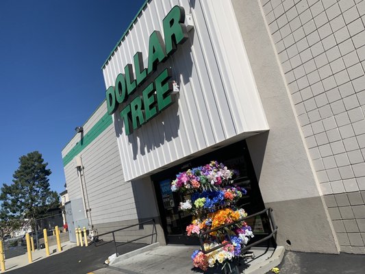 DOLLAR TREE - Updated January 2026 - 55 Photos & 44 Reviews - 10155 ...
