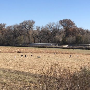 CITY OF ALBUQUERQUE OPEN SPACE VISITOR CENTER - Updated November 2025 ...