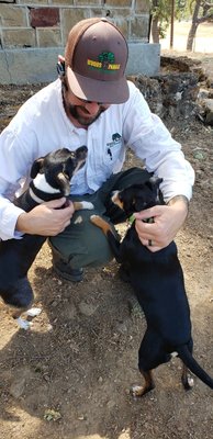 WOODS FAMILY PEST MANAGEMENT - Updated July 2026 - 12 Photos & 45 ...