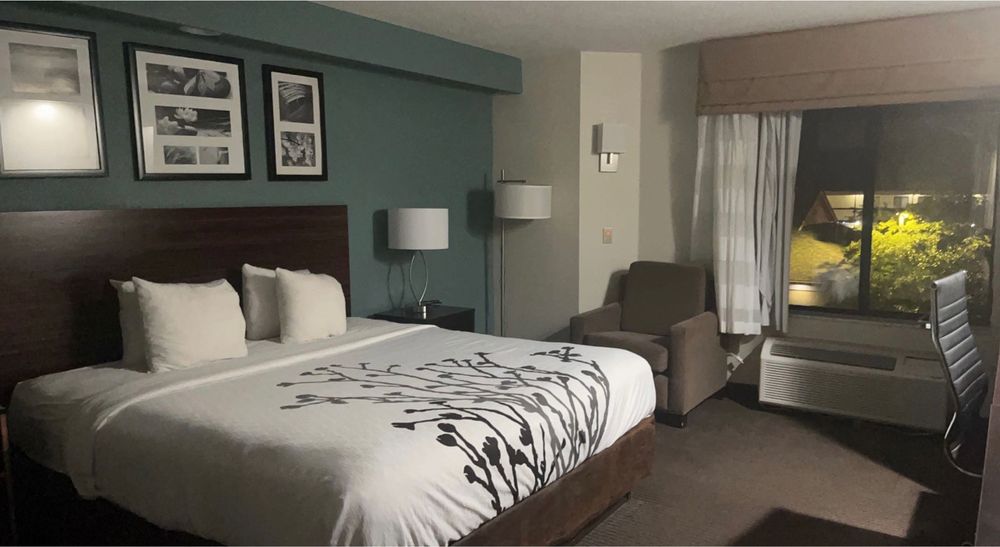 SLEEP INN - Updated October 2025 - 32 Photos & 11 Reviews - 1050 ...