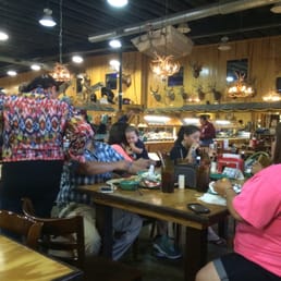 OASIS OUTBACK RESTAURANT - Updated October 2025 - 44 Photos & 65 ...