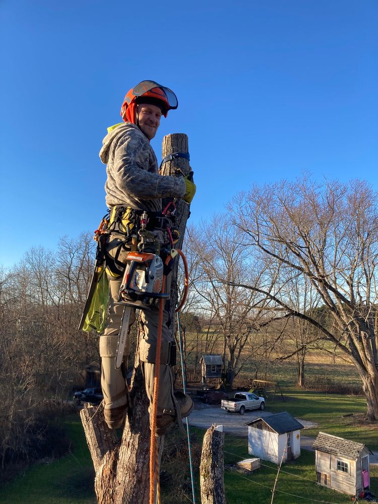 SKYVIEW TREE SERVICE - Updated August 2025 - 13 Photos - Chagrin Falls ...
