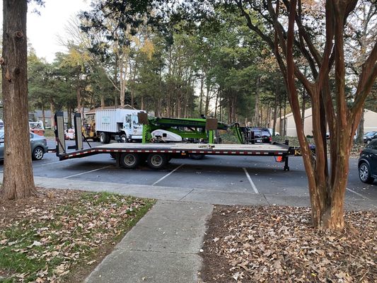 MILLER TREE SERVICE - Updated October 2025 - 26 Photos & 16 Reviews ...
