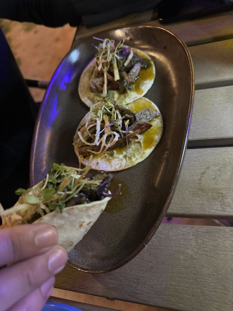 HOWLING WOLF BAR & EATERY - 48 Photos - 1447 NE Miami Ct, Miami ...