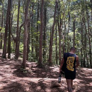 JUDD TRAIL - 338 Photos & 94 Reviews - Hiking - Nuuanu Pali Dr ...