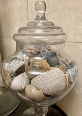 SHELL WORLD - Updated April 2025 - 193 Photos & 106 Reviews - 97600 ...