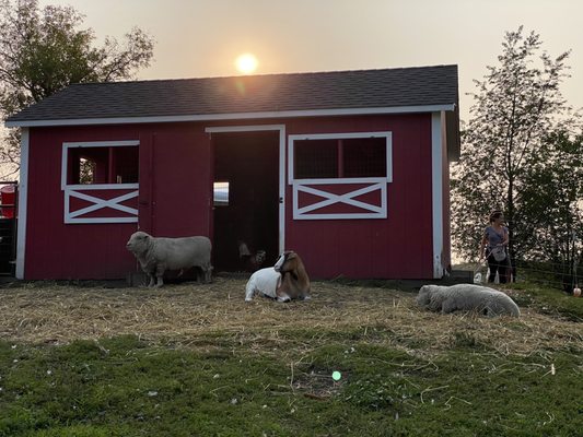 LUCELINE ORCHARD - Updated October 2024 - 104 Photos & 34 Reviews ...