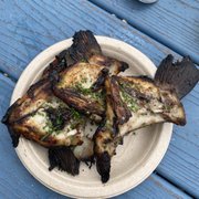 TAYLOR SHELLFISH FARMS - 1217 Photos & 333 Reviews - 2182 Chuckanut Dr ...