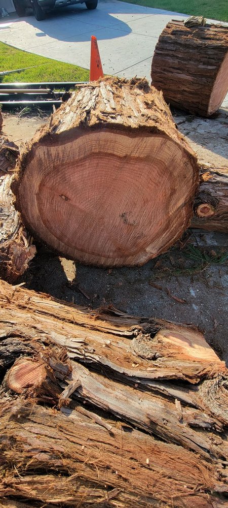 CANAS TREE SERVICE - Updated October 2025 - 28 Photos & 12 Reviews ...