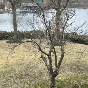 BOSTON MARRIOTT NEWTON - Updated January 2026 - 132 Photos & 161 ...