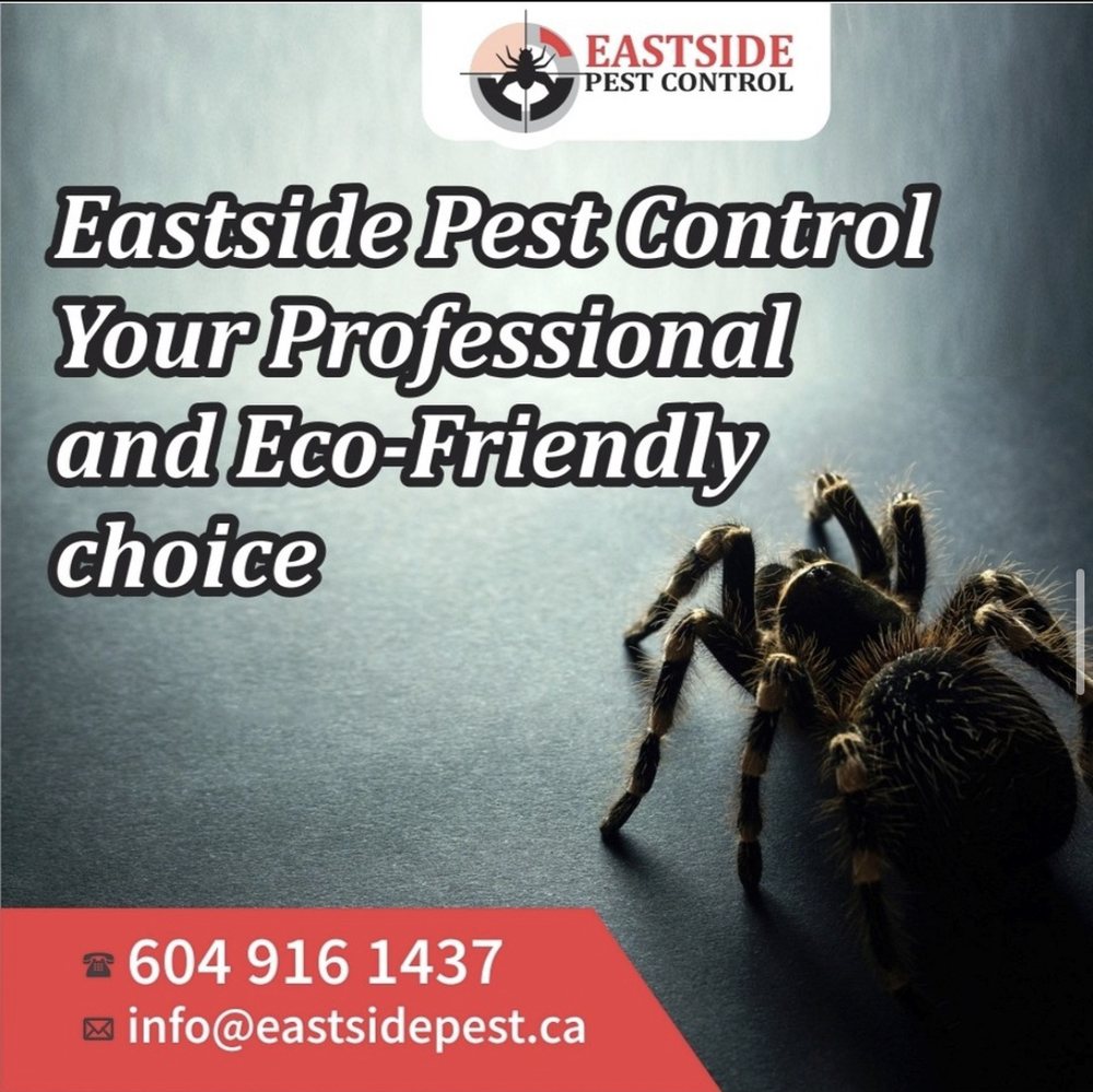 EASTSIDE PEST CONTROL - Updated August 2025 - 1407 E 62 Avenue ...