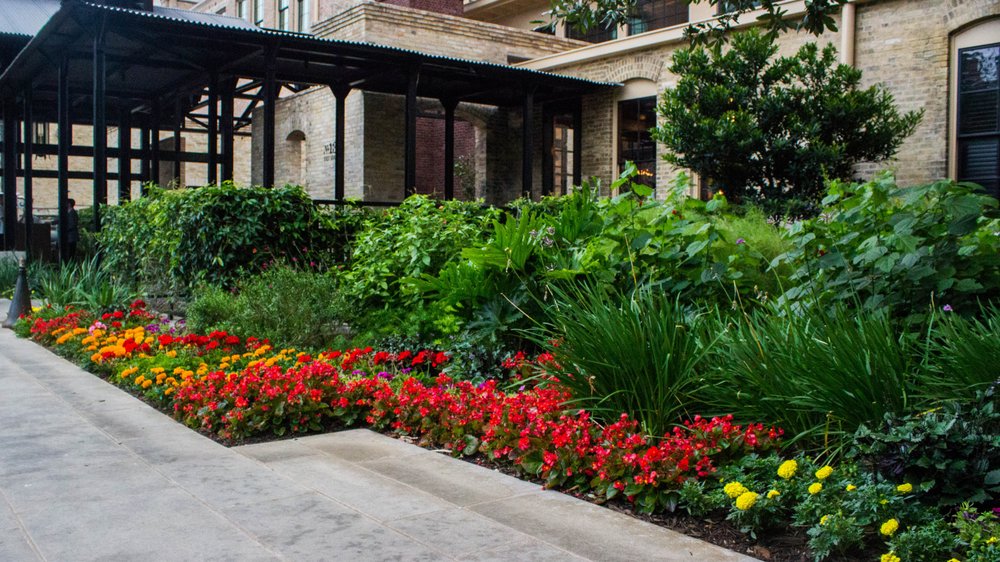 CLEAN SCAPES LANDSCAPING - Updated December 2025 - 4800 W Howard Ln ...