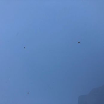 SHELL - Updated May 2024 - 63 Photos & 73 Reviews - 5650 E La Palma ...