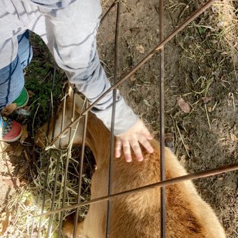 MATTHYS FARM MARKET - Updated December 2025 - 57754 Crumstown Hwy ...