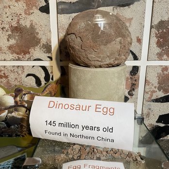 LUCORAL MUSEUM - Updated January 2026 - 46 Photos & 15 Reviews - 2414 ...