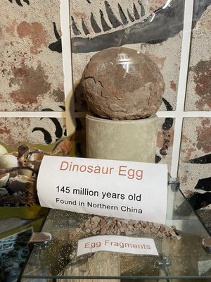 LUCORAL MUSEUM - Updated January 2026 - 46 Photos & 15 Reviews - 2414 ...