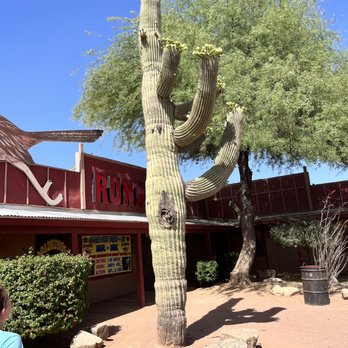 ROADRUNNER RESTAURANT & SALOON - Updated November 2024 - 219 Photos ...