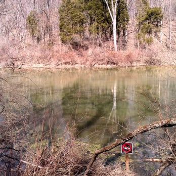 MITCHELL MEMORIAL FOREST - Updated November 2025 - 78 Photos & 10 ...