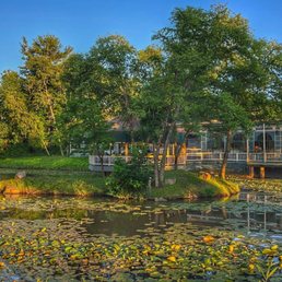 SOFIA’S OF CLIFTON PARK - Updated October 2025 - 76 Photos & 64 Reviews ...