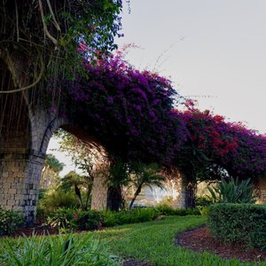 THE ROOKERY AT MARCO - Updated April 2025 - 31 Photos - 3433 Club ...