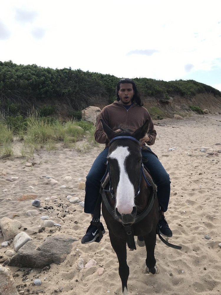 RUSTIC RIDES FARMS - 32 Photos & 41 Reviews - 1173 W Side Rd, Block ...