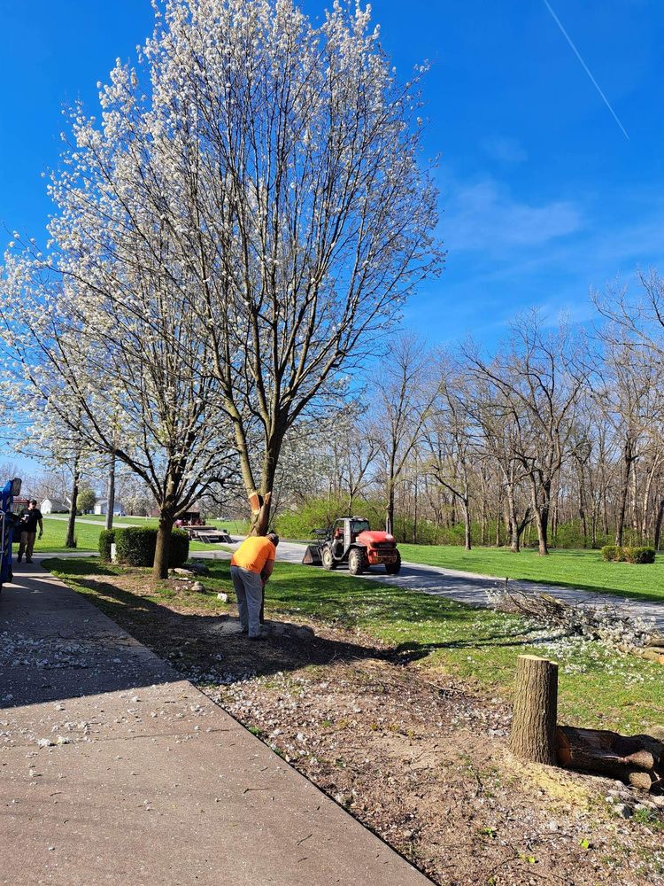 VICTORY TREE SERVICE - Updated January 2026 - Bethany, Illinois - Tree ...