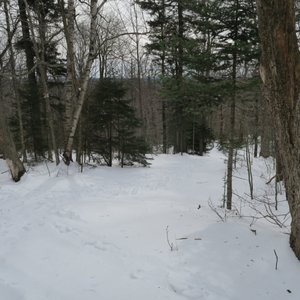 OTIS RIDGE SKI AREA - Updated May 2025 - 159 Monterey Rd, Otis ...