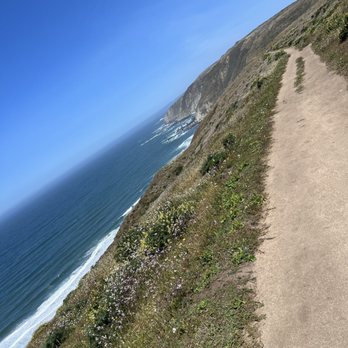 TOMALES POINT TRAIL - TULE ELK PRESERVE - Updated December 2025 - 948 ...