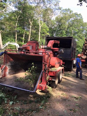 AMAZON TREE SERVICES - Updated December 2025 - 16 Photos & 16 Reviews ...