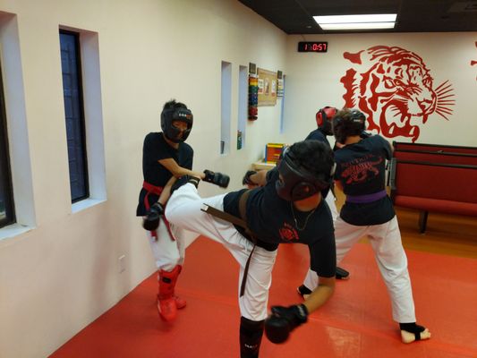 RED TIGER MARTIAL ARTS - Updated September 2024 - 11 Photos - 208 ...