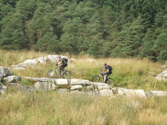 KIRROUGHTREE VISITORS CENTRE CAFE - Updated January 2025 - Auld Palnure ...