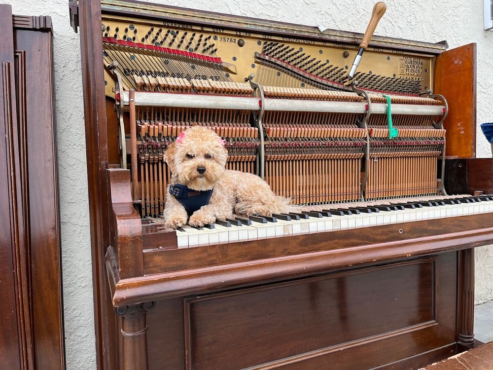 FRIENDLY EAR PIANO SERVICE - Request Information - Long Beach ...