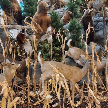 SCHEELS - Updated December 2024 - 649 Photos & 196 Reviews - 4450 ...