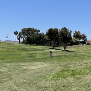 TALEGA GOLF CLUB - 143 Photos & 196 Reviews - 990 Avenida Talega, San ...