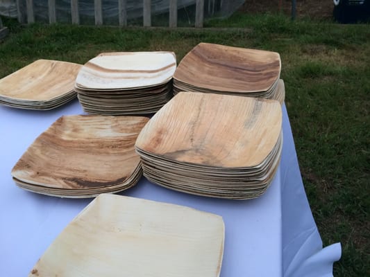 URBAN ROOTS FARM - Updated August 2025 - 67 Photos - 7651 Delwau Ln ...