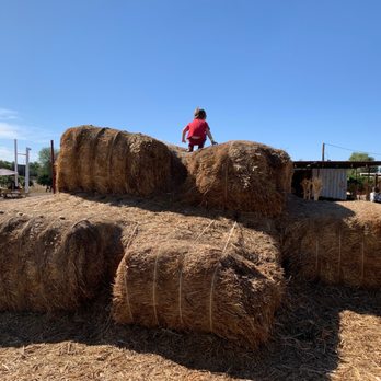 VERTUCCIO FARMS - Updated March 2025 - 286 Photos & 156 Reviews - 4011 ...