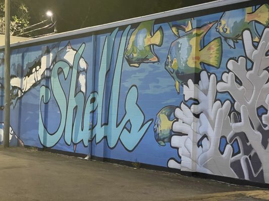 SHELLS SEAFOOD - BRANDON - Updated October 2025 - 467 Photos & 608 ...