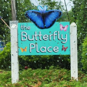 THE BUTTERFLY PLACE - Updated May 2025 - 319 Photos & 101 Reviews - 120 ...