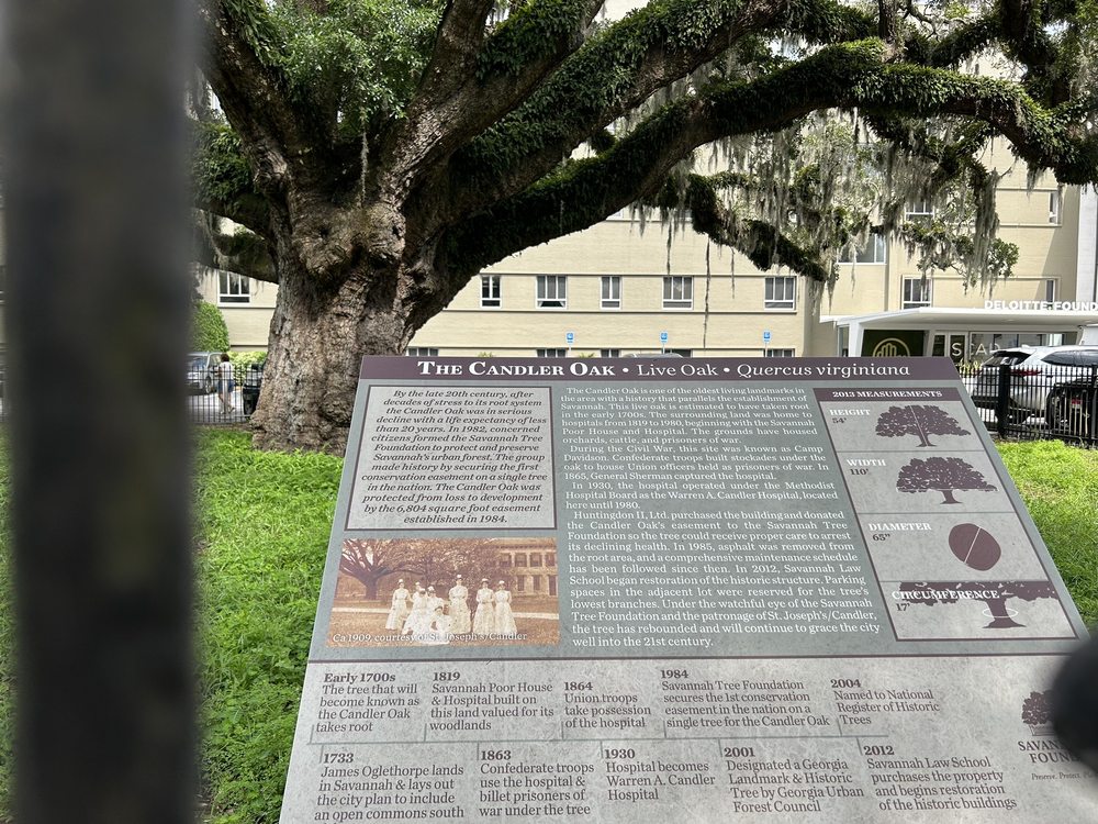 CANDLER OAK - Updated July 2025 - 13 Photos - E Gaston St & Drayton St ...