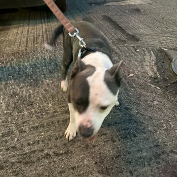 BON TON PRIME RIB - Updated April 2025 - 65 Photos & 34 Reviews - 401 ...