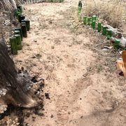 PASEO DEL BOSQUE TRAIL - 115 Photos & 25 Reviews - Hiking - Along The ...