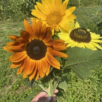 KELDER’S FARM - Updated August 2025 - 188 Photos & 68 Reviews - 5755 US ...